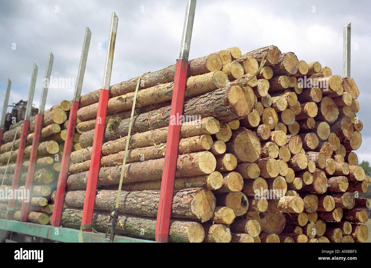 Truck transporting logs Stock Photo - Alamy