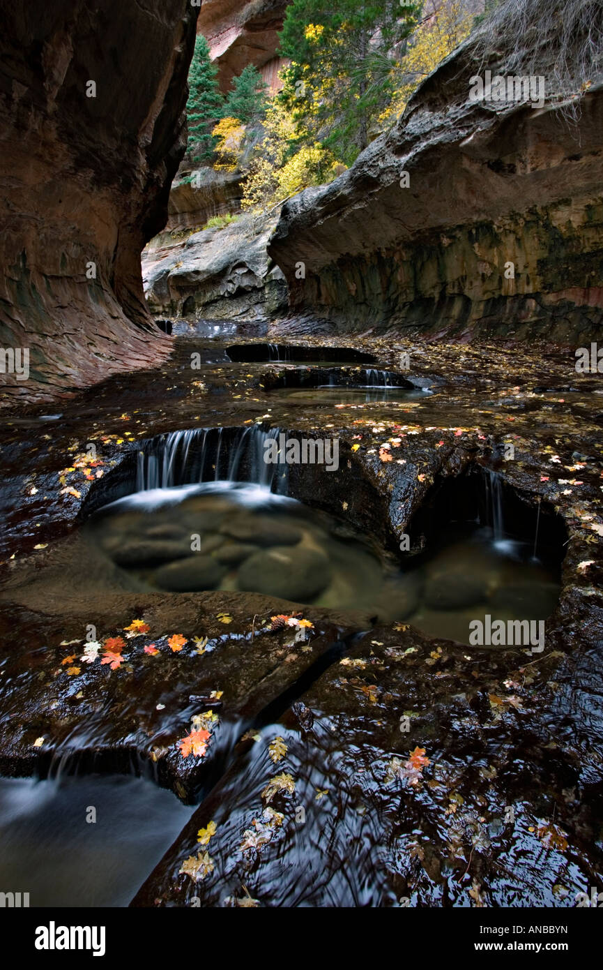 Subway - Left Fork of North Creek Stock Photo - Alamy