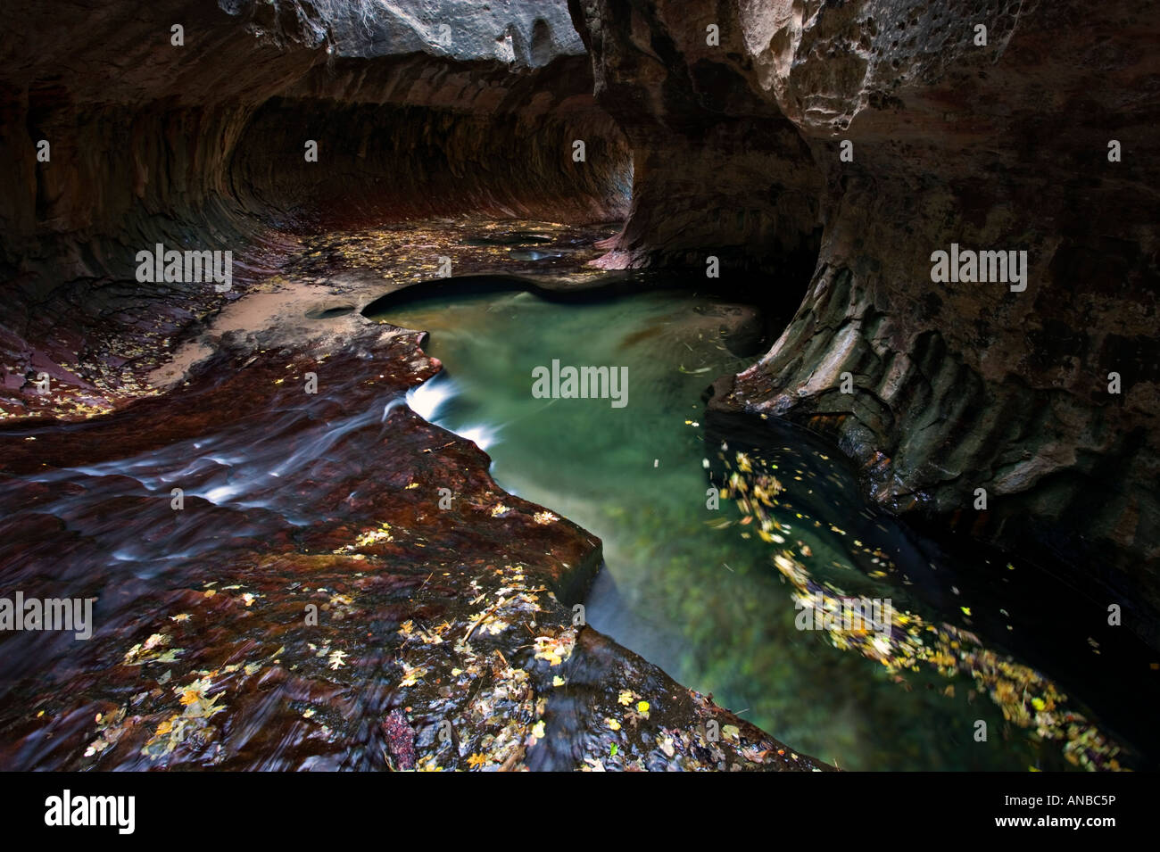 Subway - Left Fork of North Creek Stock Photo - Alamy