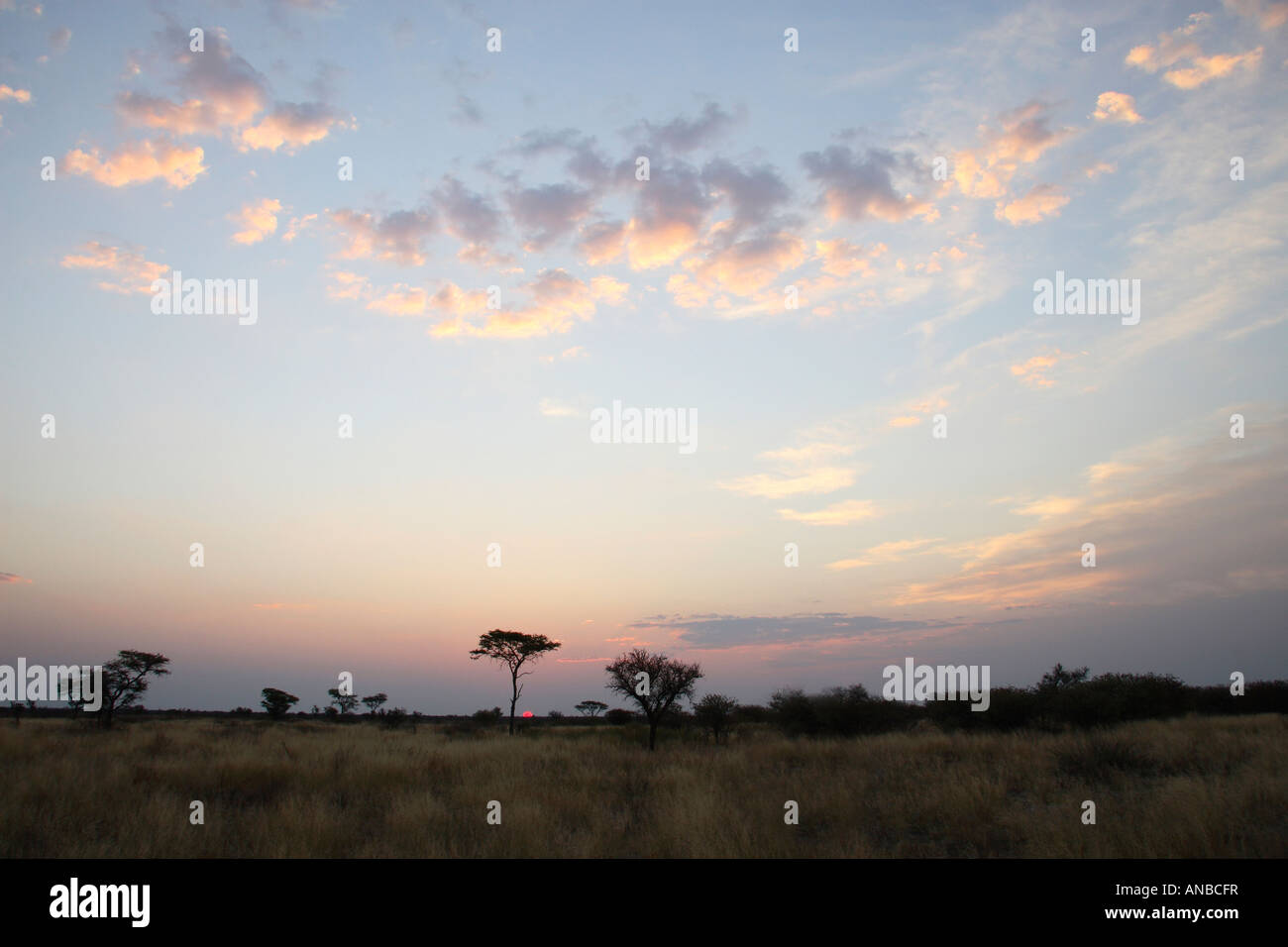 Khutse hi-res stock photography and images - Alamy