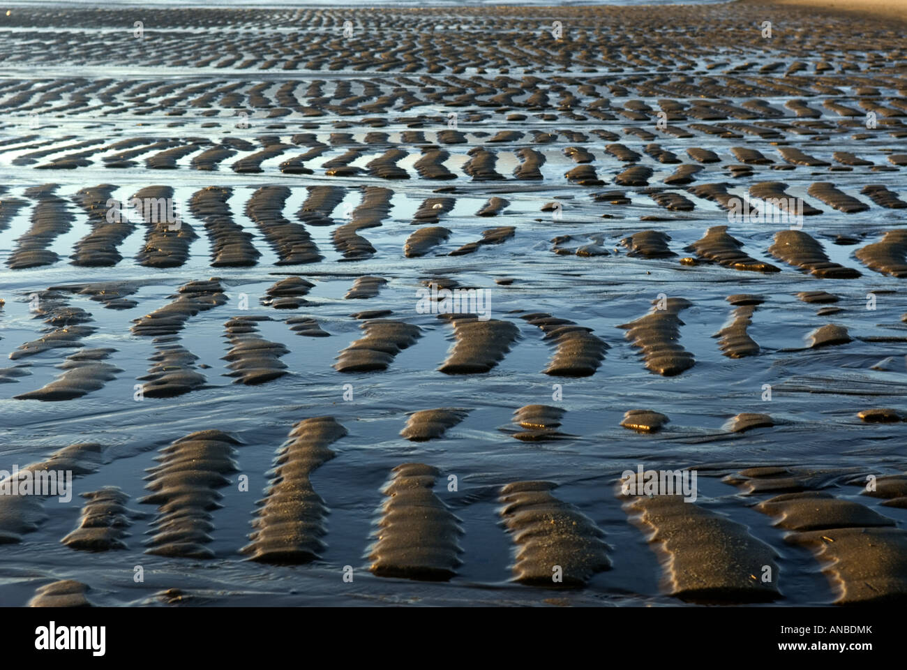 The change of the tide shapes the sand at the beach during an early ...