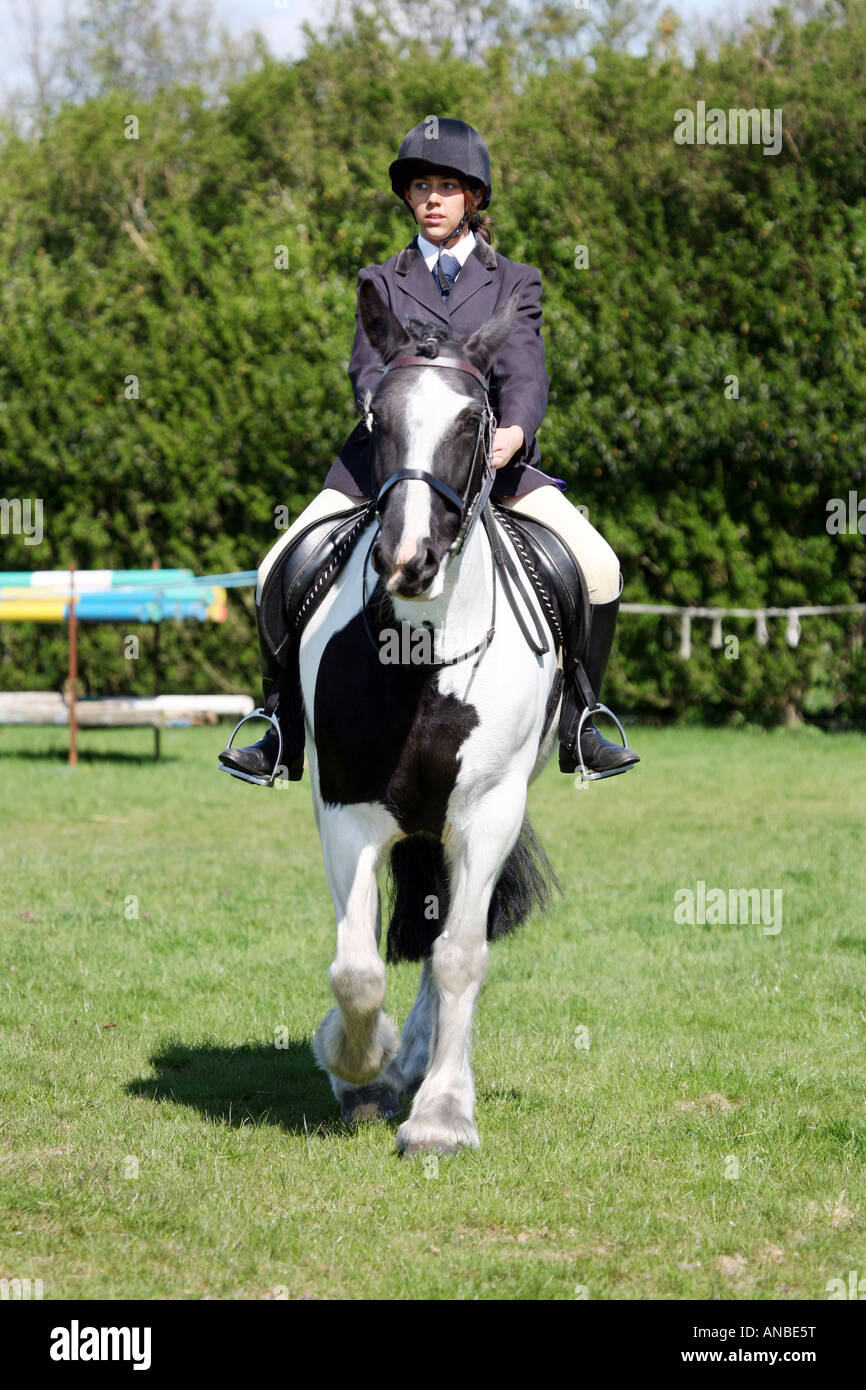 Showjumping sport hi-res stock photography and images - Alamy