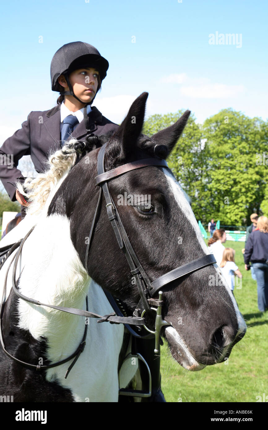 English horse riding girl hi-res stock photography and images - Alamy
