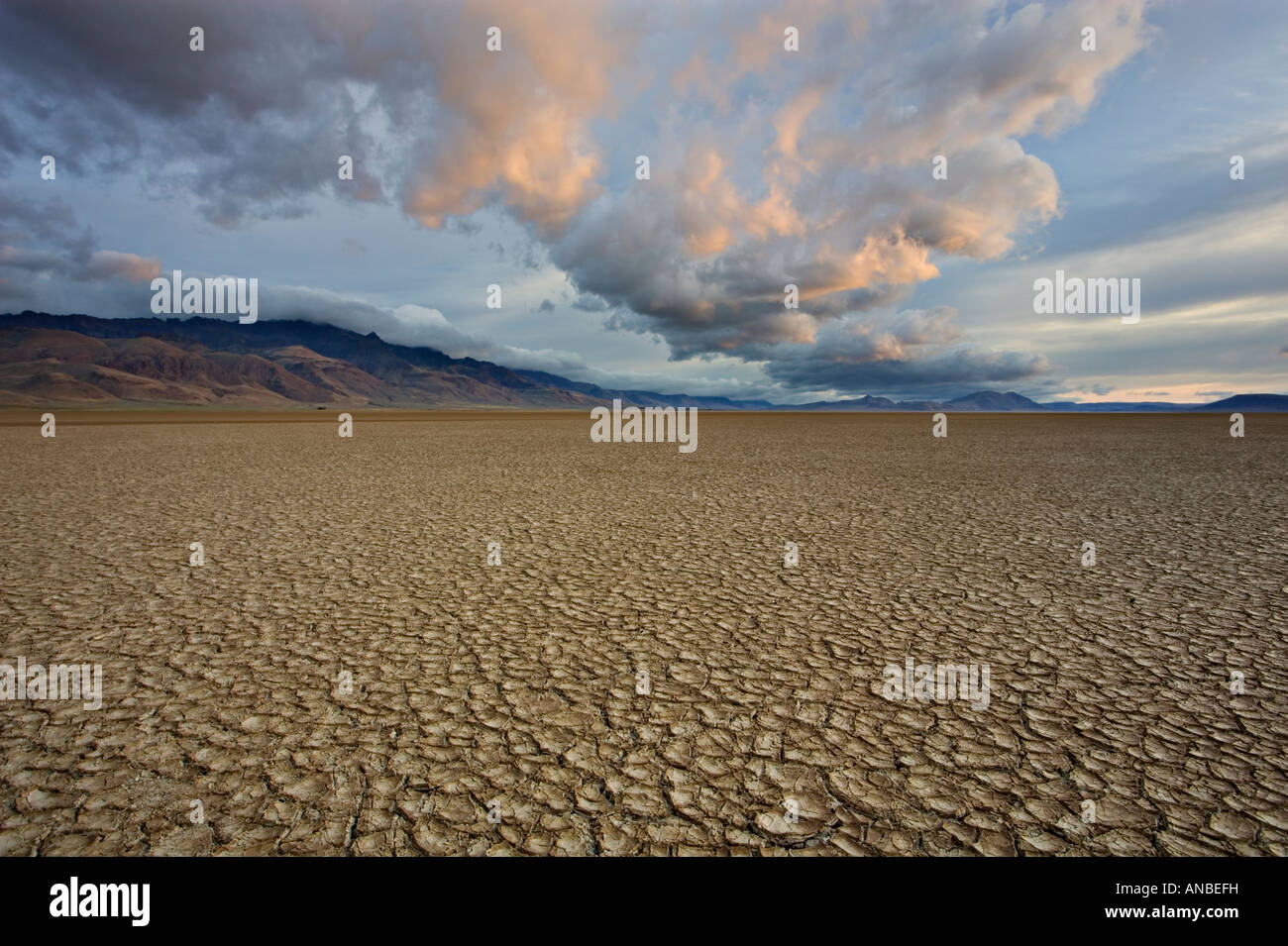 Playa americana hi-res stock photography and images - Alamy