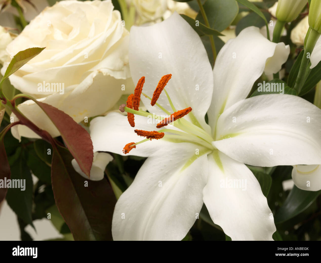 White Lilies and Roses Close Up of Flower Arrangement Stock Photo - Alamy