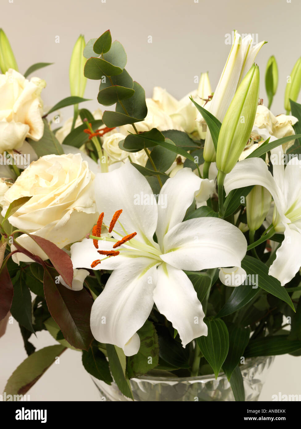 White lilies and white roses hi-res stock photography and images - Alamy