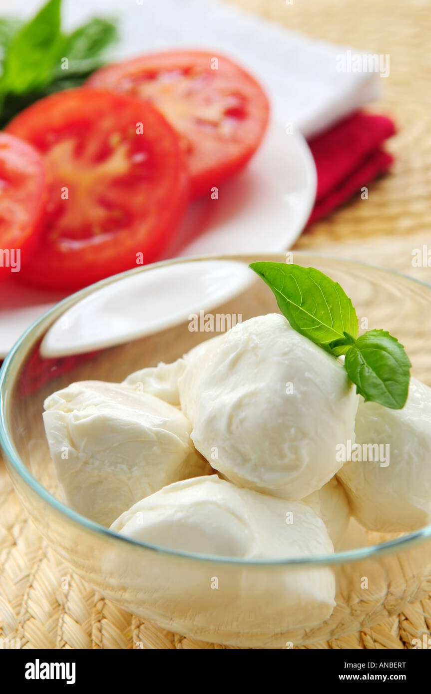 Bocconcini cheese basil and sliced tomatoes ingredients of traditional ...