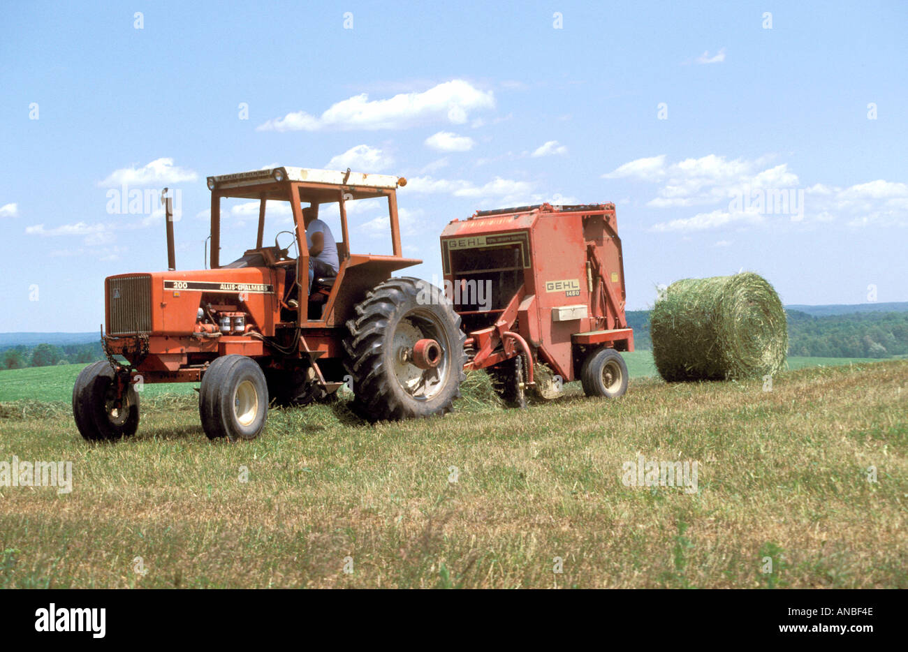 Farmers Work as Team to Harvest Crops Stock Photo - Alamy