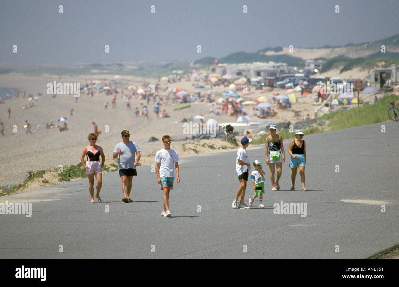 Beach Swimming Activities at Cape Cod National Seashore Massachusetts ...