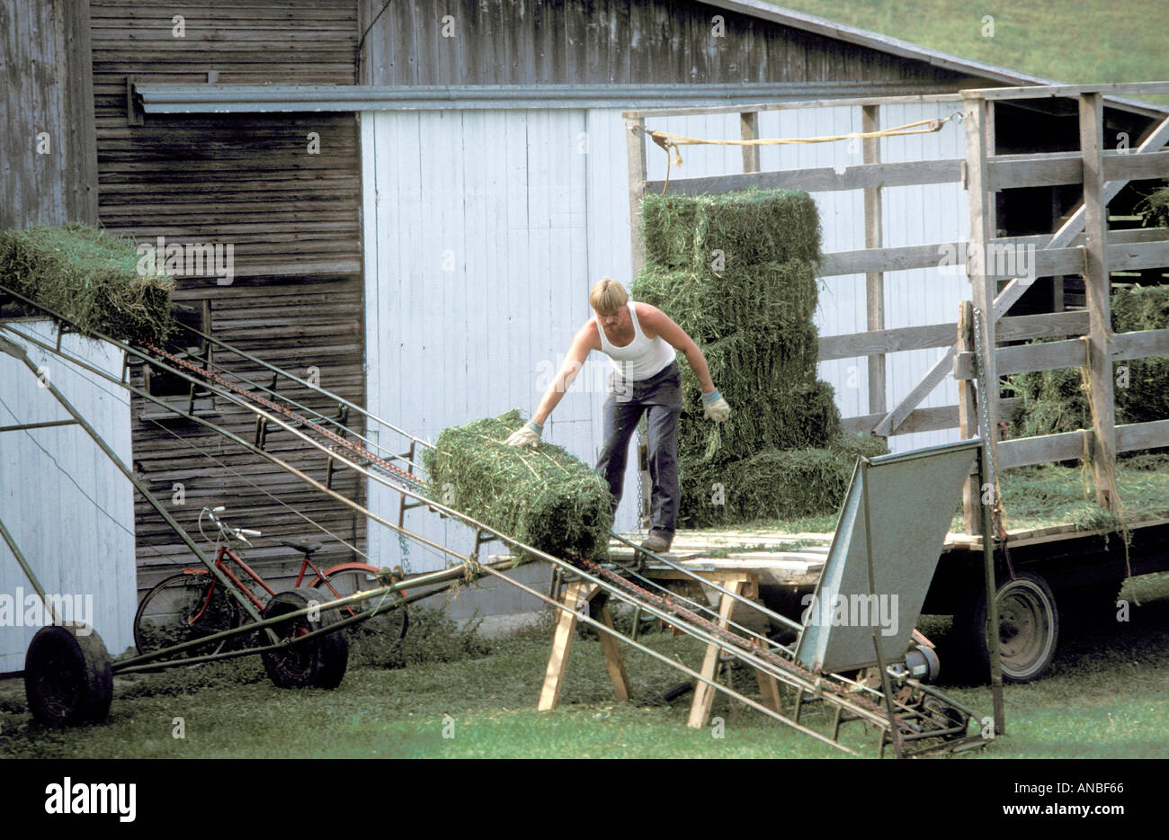 Farmers Work to Harvest Crops Stock Photo - Alamy