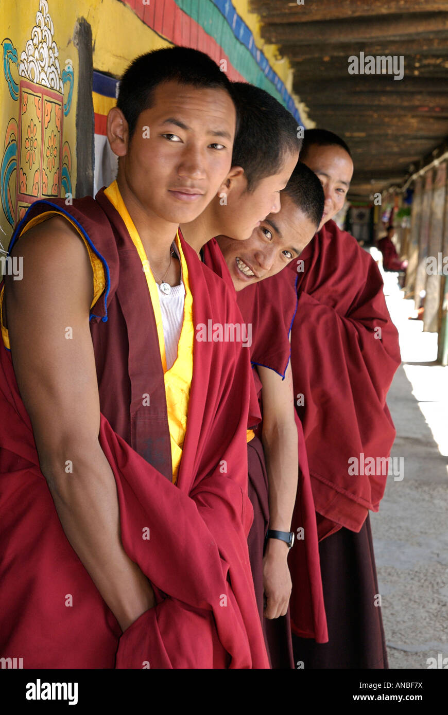 Friendly resident monks Samye monastery Tibet Stock Photo - Alamy