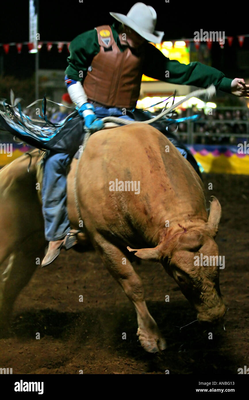 Bull riding Mt Isa Stock Photo - Alamy