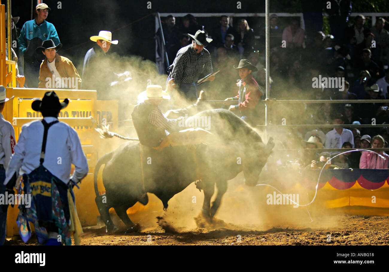 Bull riding dangerous gore hi-res stock photography and images - Alamy