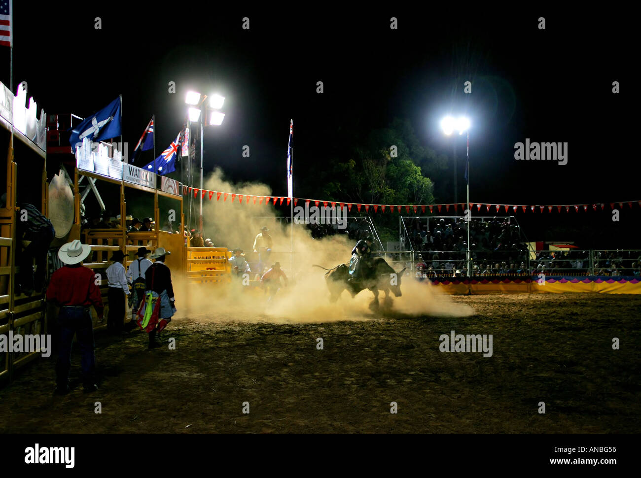 Bull Fight Australia High Resolution Stock Photography and Images - Alamy