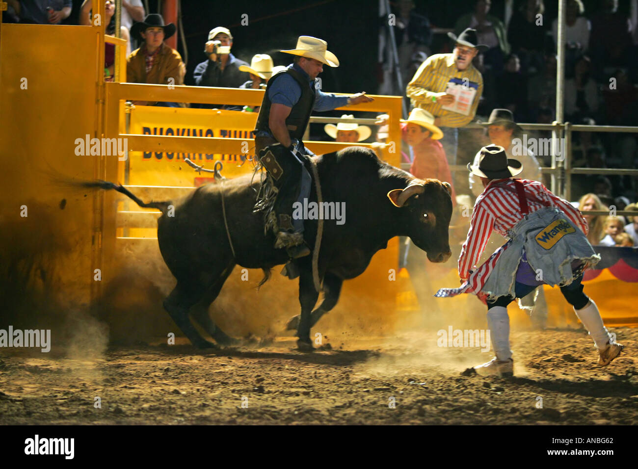 Bull riding dangerous gore hi-res stock photography and images - Alamy