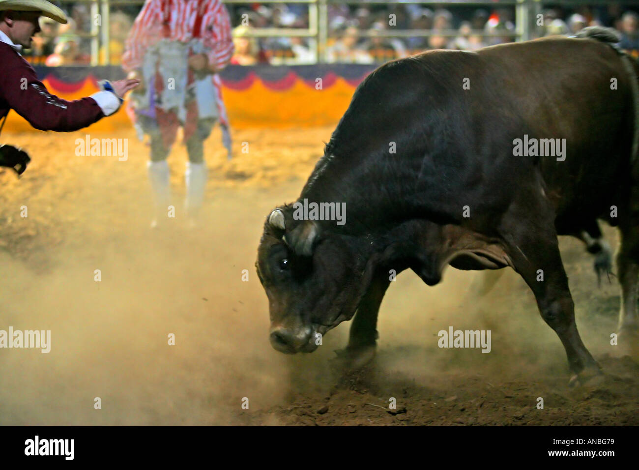 Bull riding Mt Isa Stock Photo - Alamy