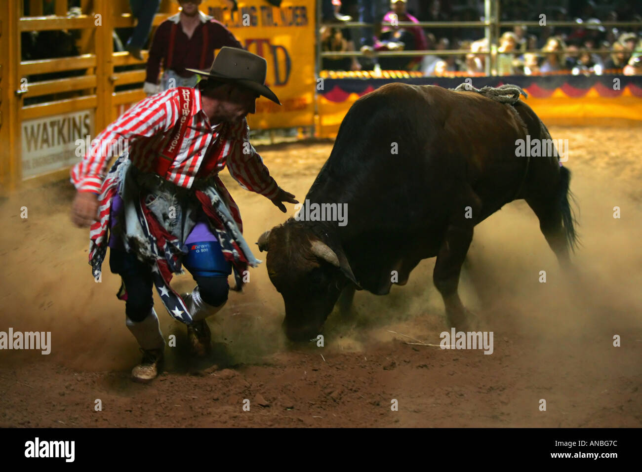 Bull Teasing High Resolution Stock Photography and Images - Alamy