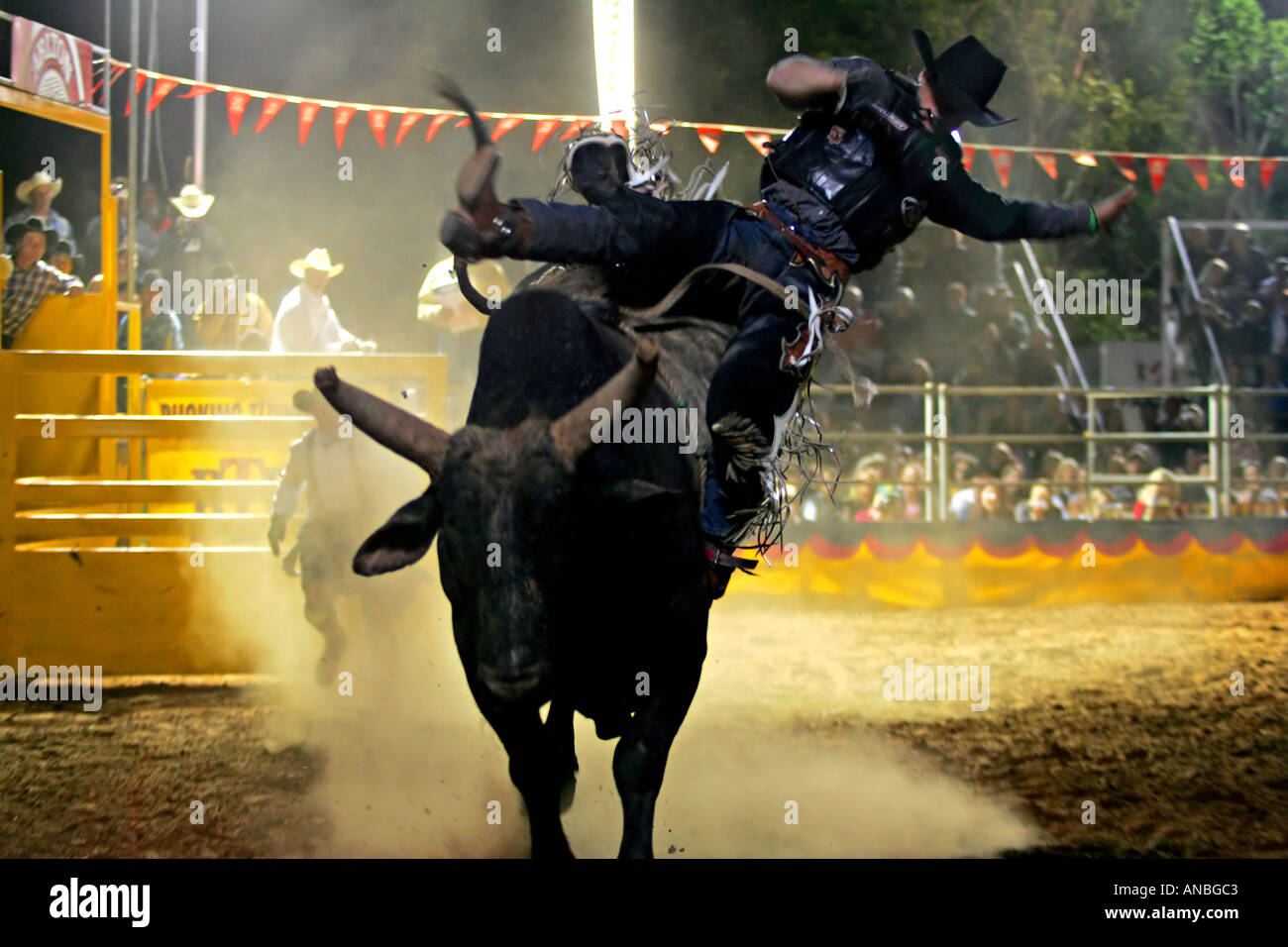 Bull riding Mt Isa Stock Photo - Alamy