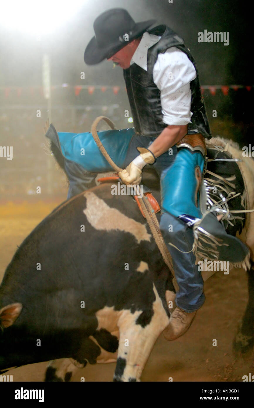 Close up bucking bull rodeo hi-res stock photography and images - Alamy