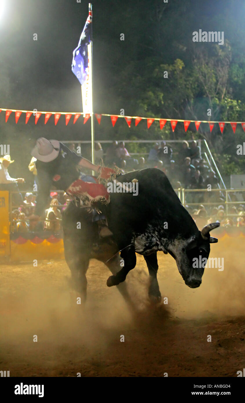 Close up bucking bull rodeo hi-res stock photography and images - Alamy