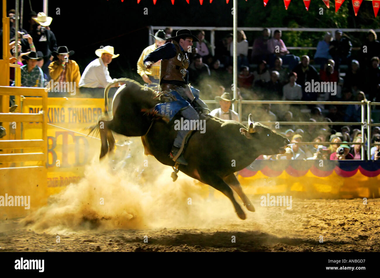 Bull riding Mt Isa Stock Photo - Alamy