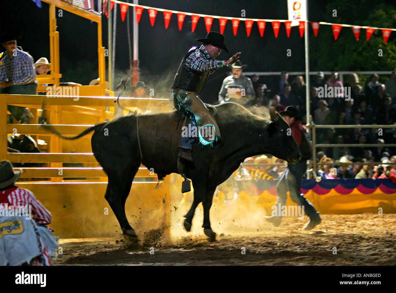 Bull riding Mt Isa Stock Photo - Alamy