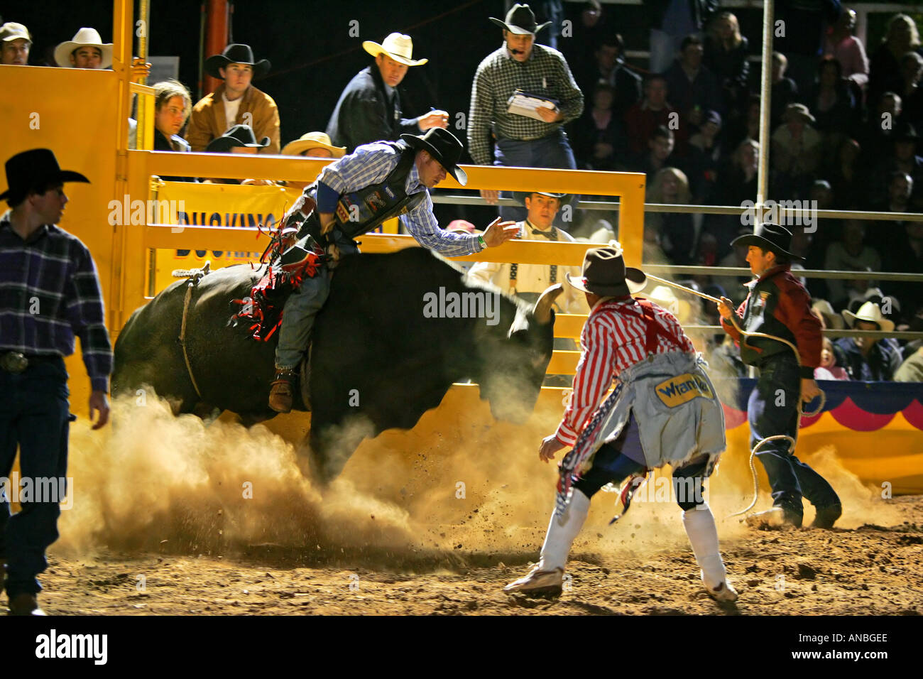 Bull riding dangerous gore hi-res stock photography and images - Alamy