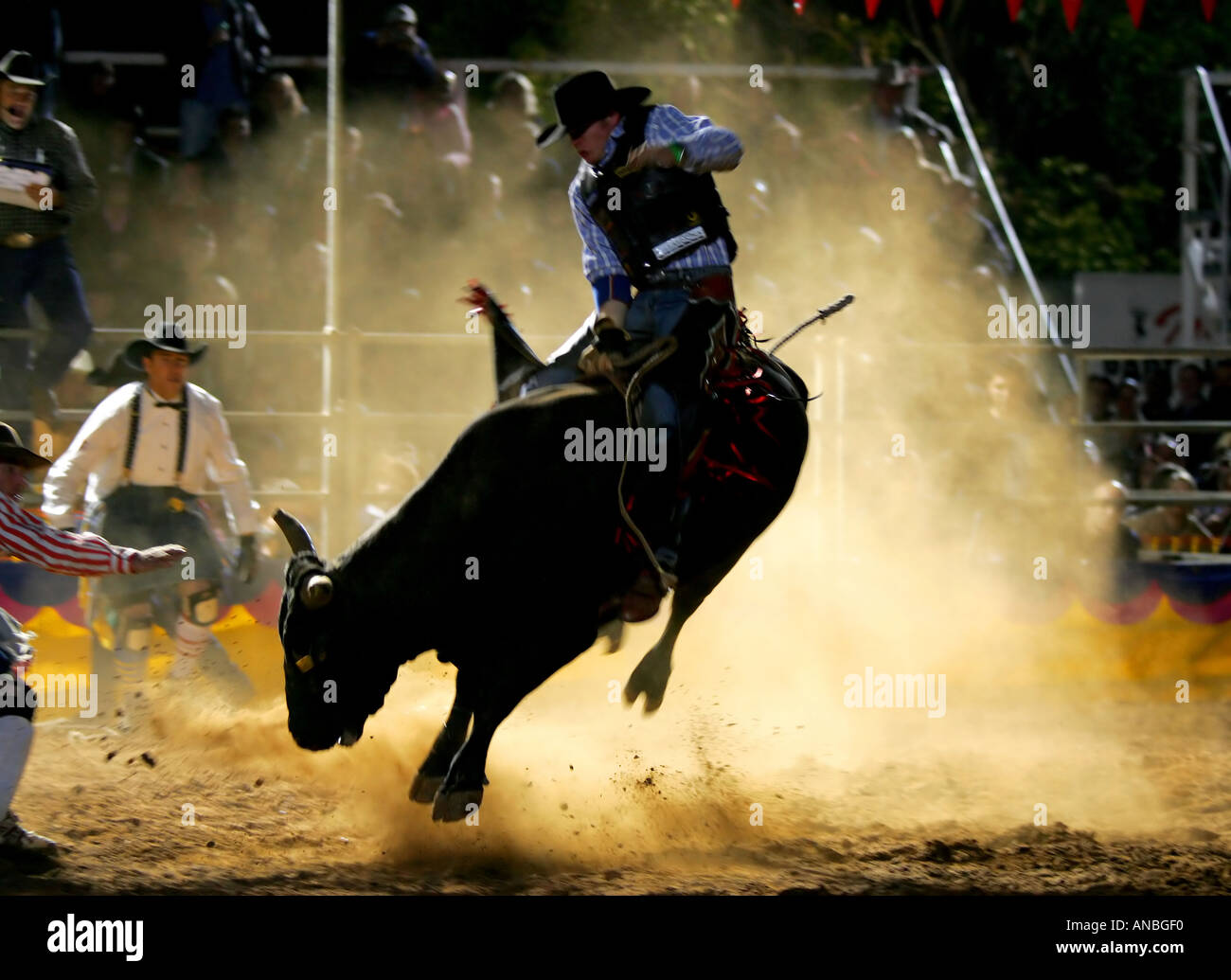 Bull riding mt isa rodeo hi-res stock photography and images - Alamy