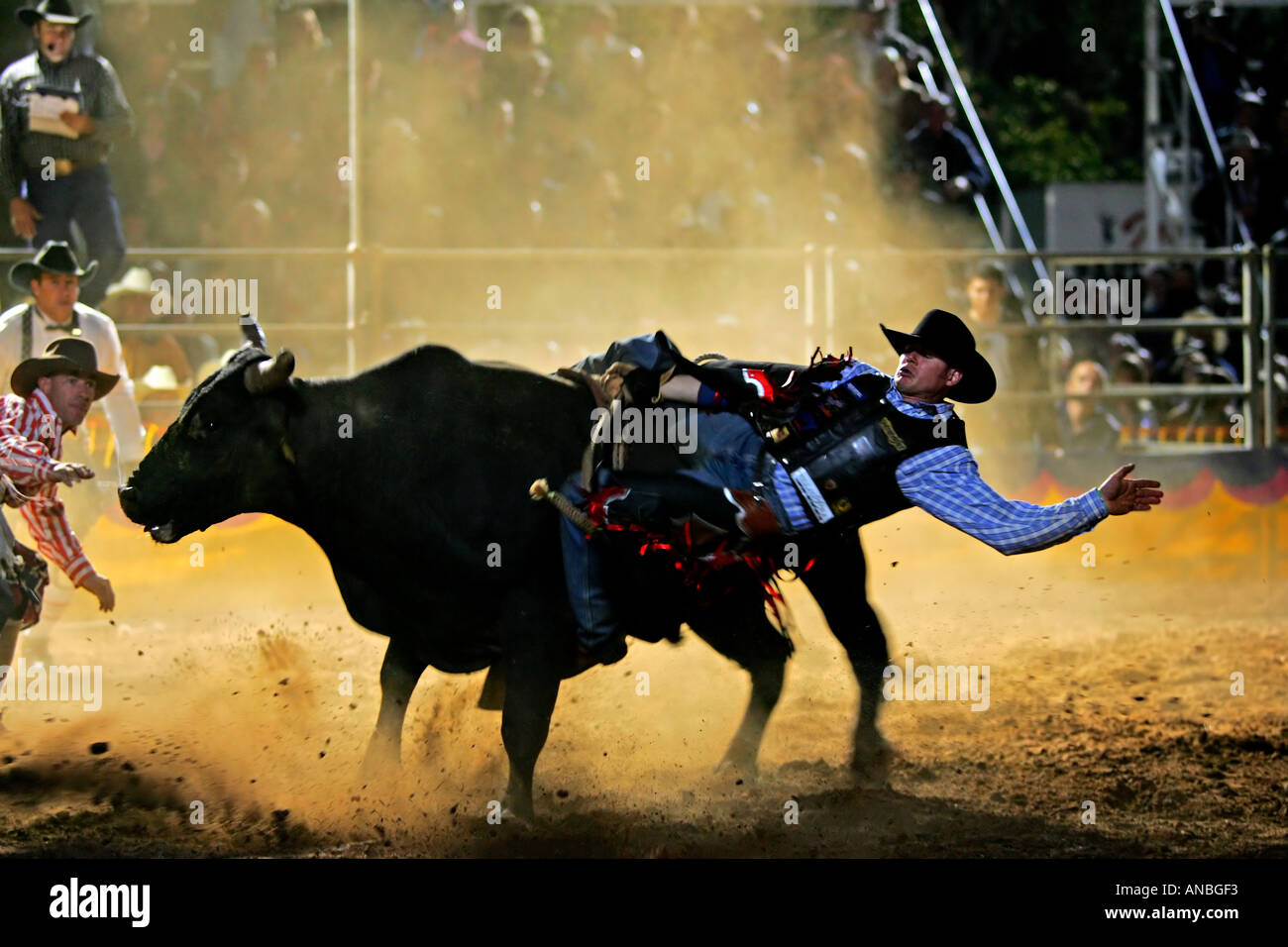 Bull riding dangerous gore hi-res stock photography and images - Alamy