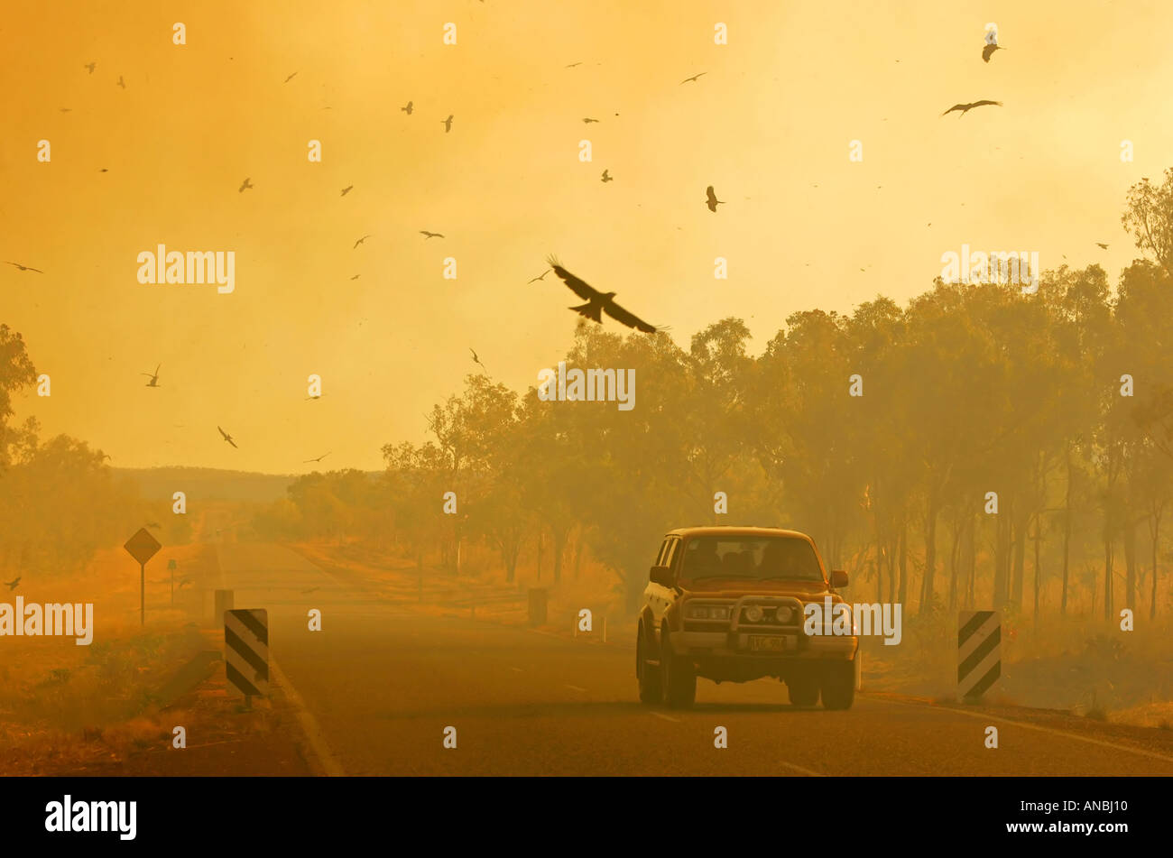 Burning bush symbol hi-res stock photography and images - Alamy