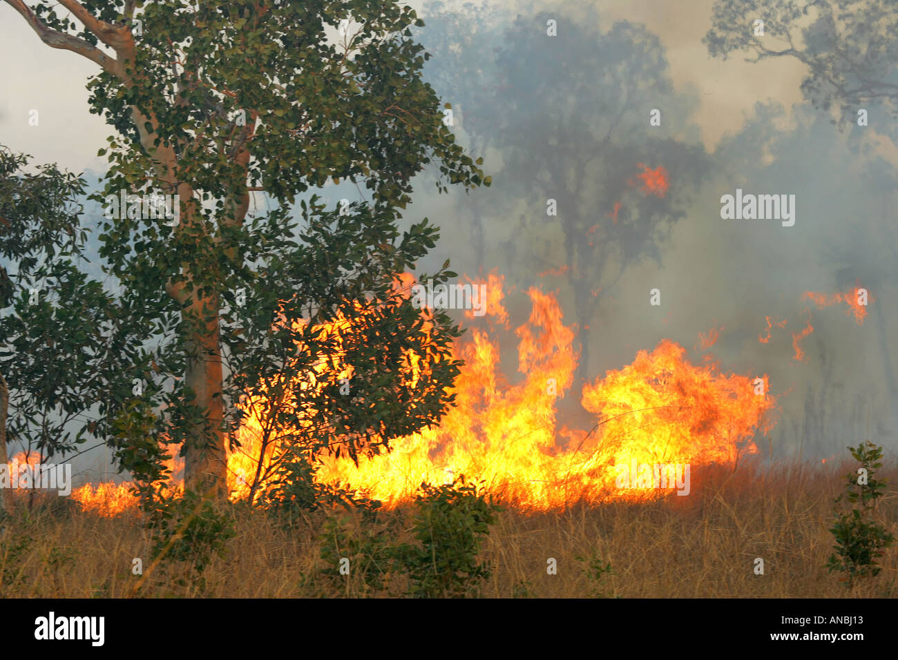 Wildfire Sign Australia High Resolution Stock Photography and Images ...