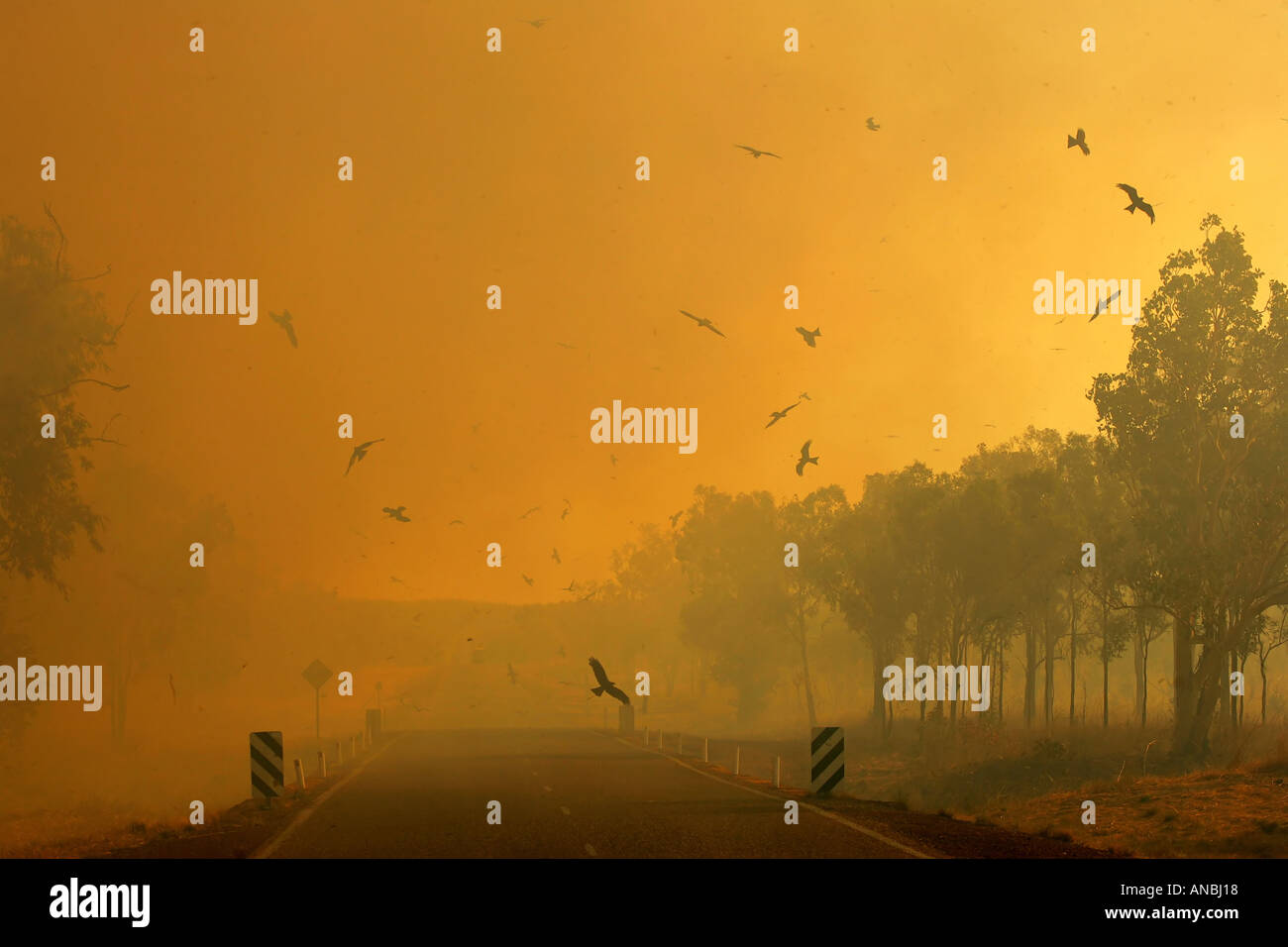 Bush fire Australia Northern Territories Stock Photo - Alamy