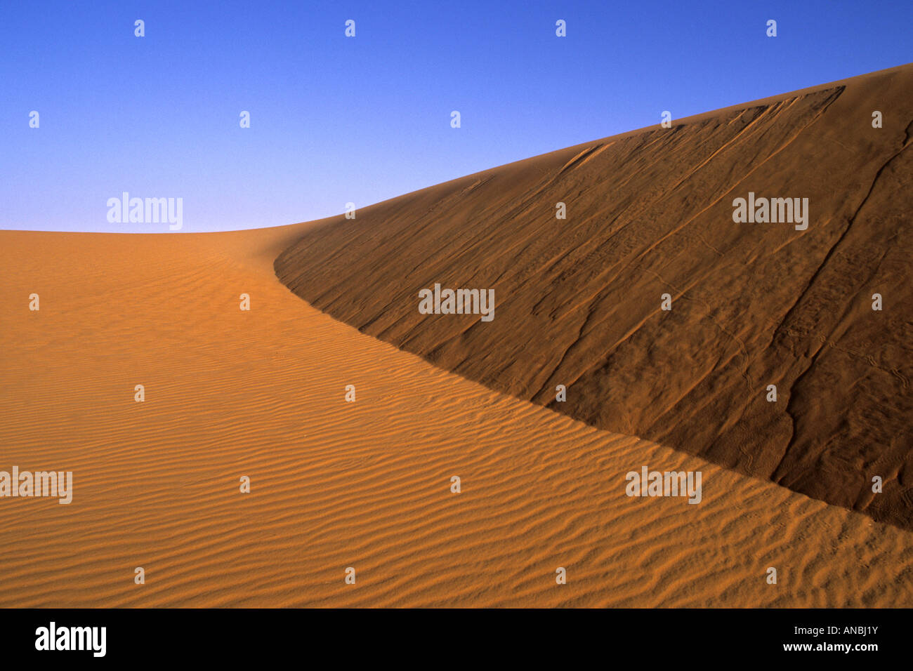 Dramatic view of the steep and shadowed slope of a dune in the Western ...