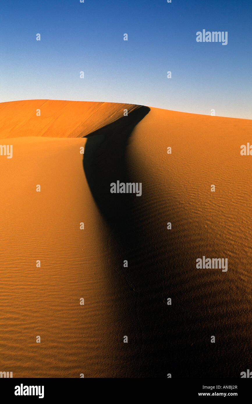 A long curved shadow outlines the ridge of a dune in the Western Sahara ...