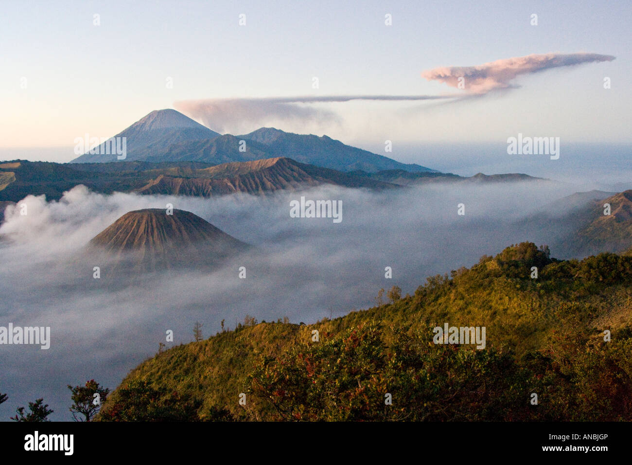 Gunung Bromo or Mount Bromo area Java Indonesia Stock Photo - Alamy