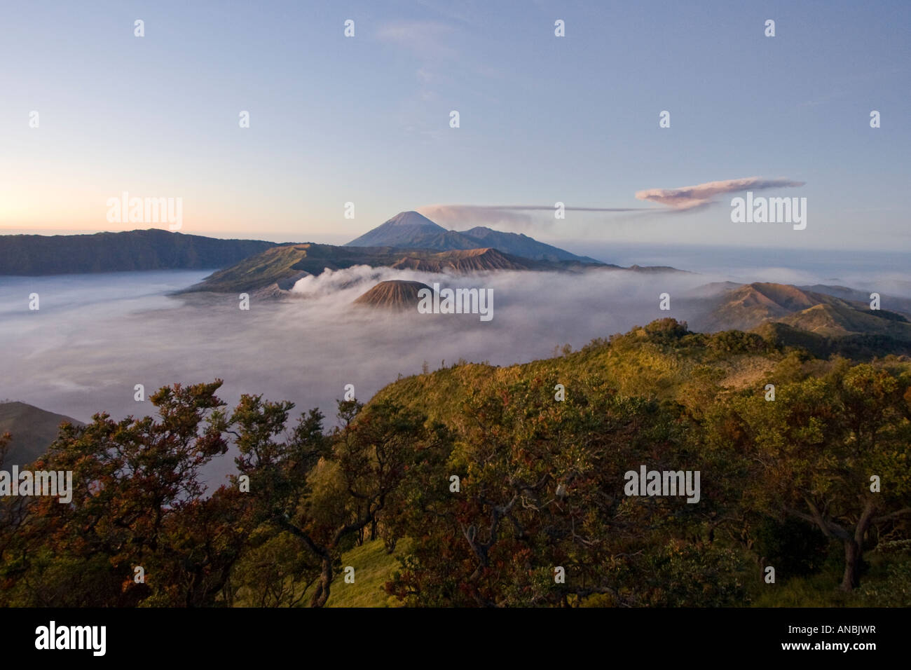 Gunung Bromo or Mount Bromo area Java Indonesia Stock Photo - Alamy
