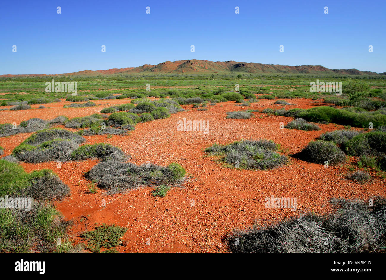 Deep red patterns hi-res stock photography and images - Alamy
