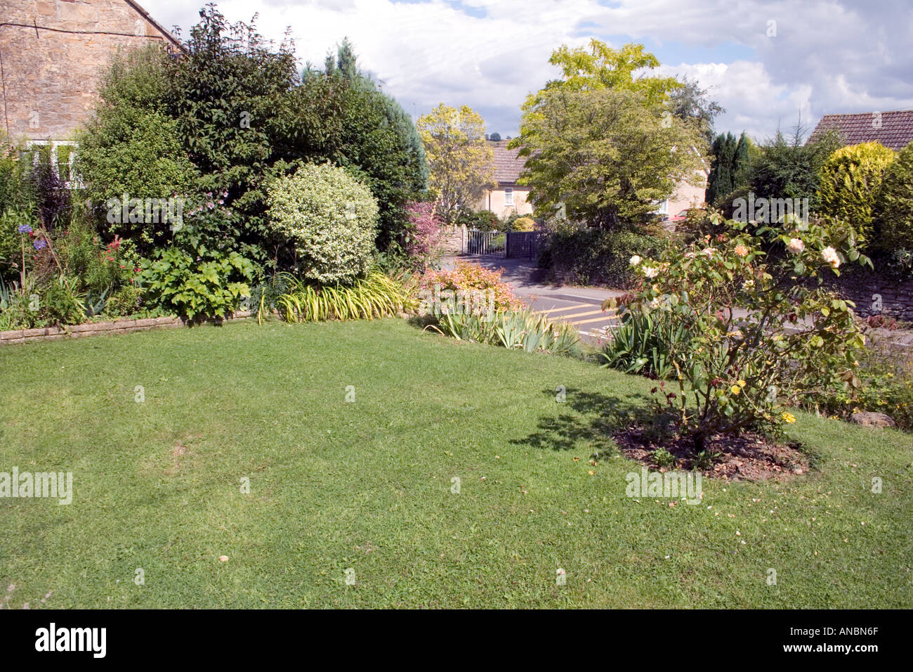 Front garden with rose bush West Chinnock Somerset, UK Stock Photo - Alamy