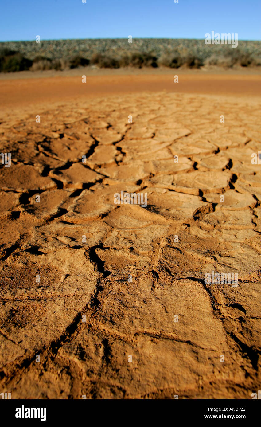 Cowan australia hi-res stock photography and images - Alamy