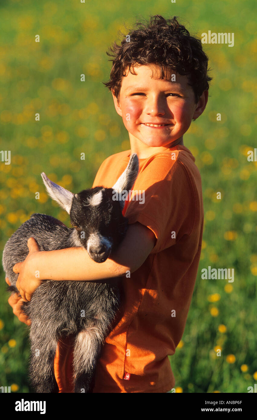 boy carrying a young goat on his arms Stock Photo - Alamy