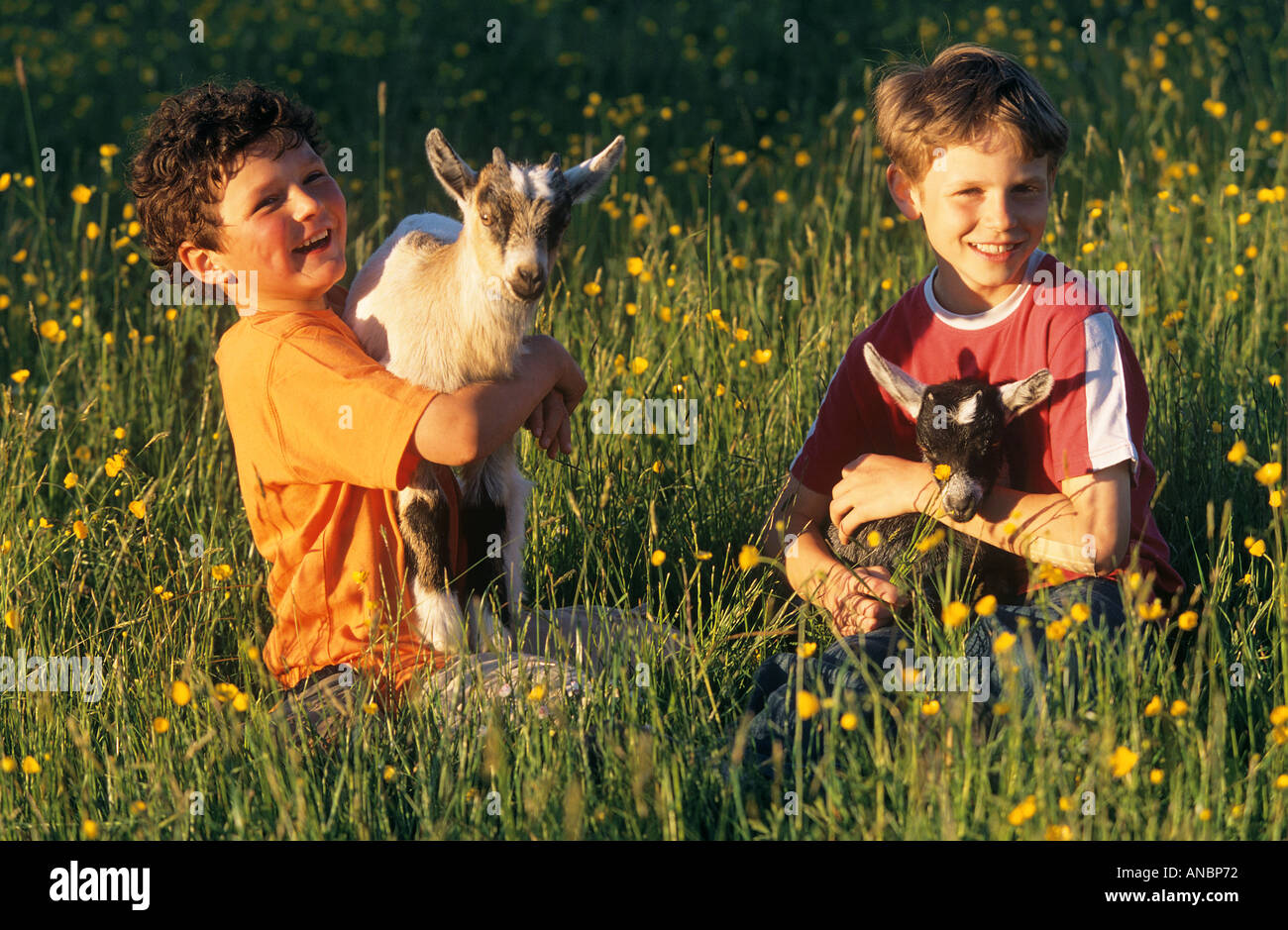 Carrying goats hi-res stock photography and images - Alamy