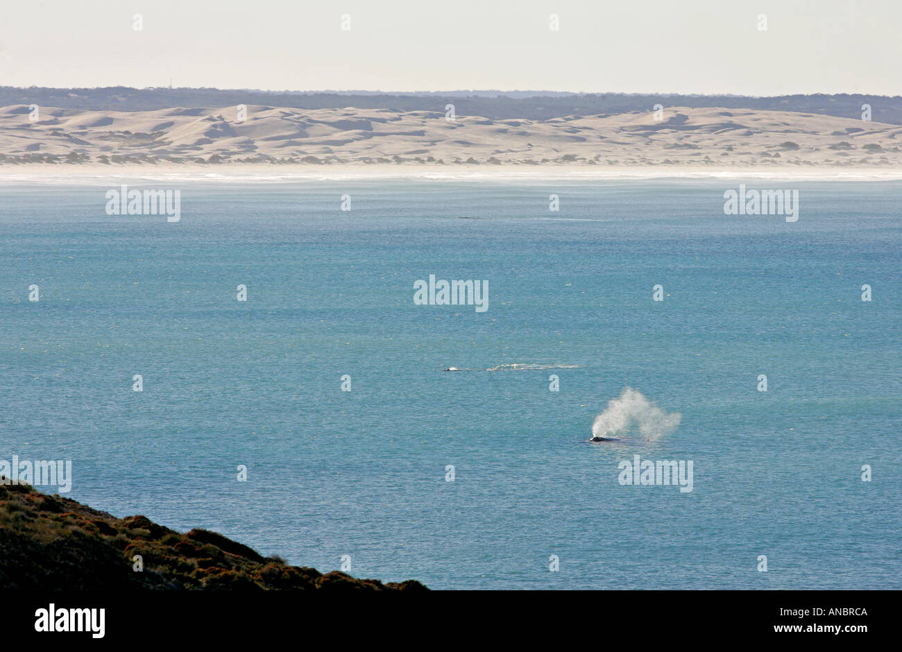 Marine bight hi-res stock photography and images - Alamy