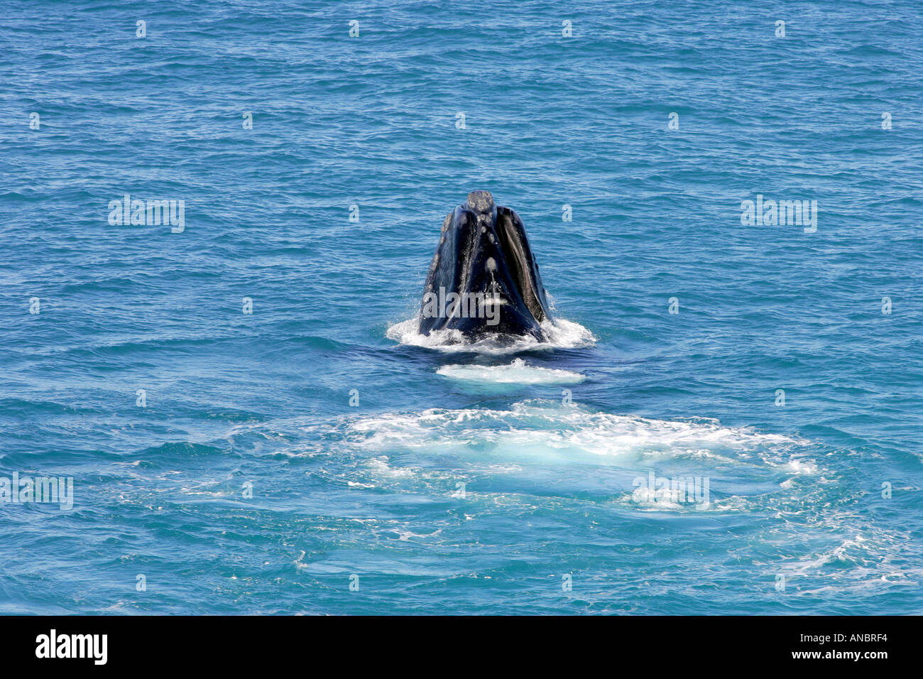 Marine bight hi-res stock photography and images - Alamy