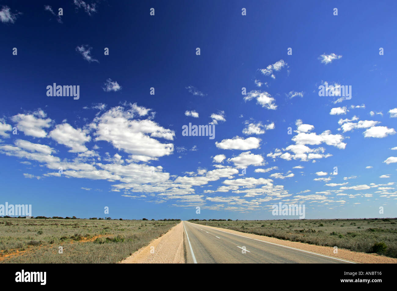 Road over the Nullarbor plain Stock Photo - Alamy