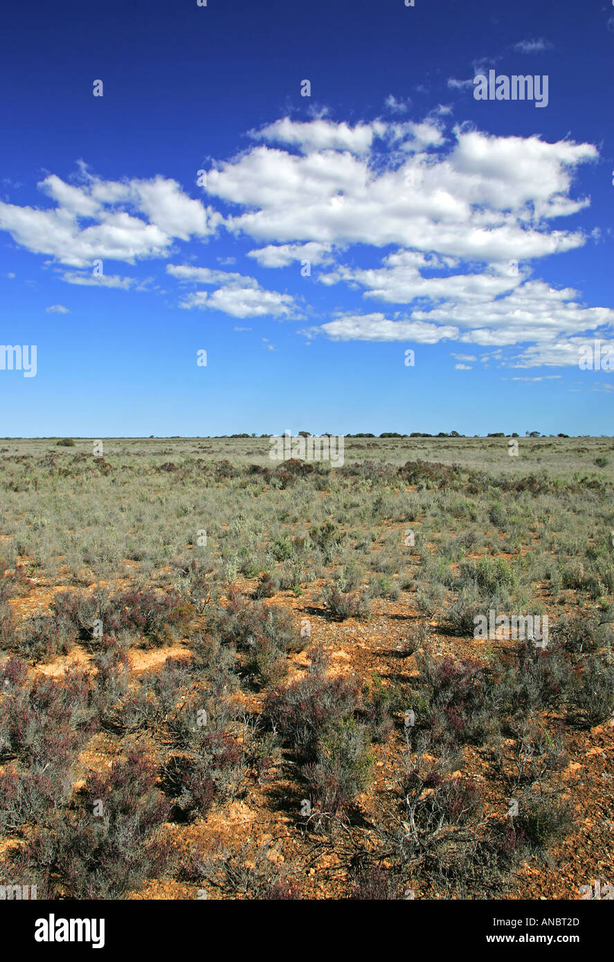 Nullarbor plain hi-res stock photography and images - Alamy