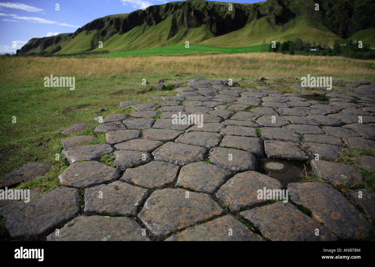 Low shot of the basalt columns at Kirkjugolf Iceland Stock Photo - Alamy