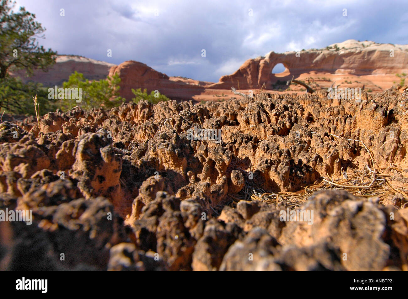 Soil crust hi-res stock photography and images - Alamy