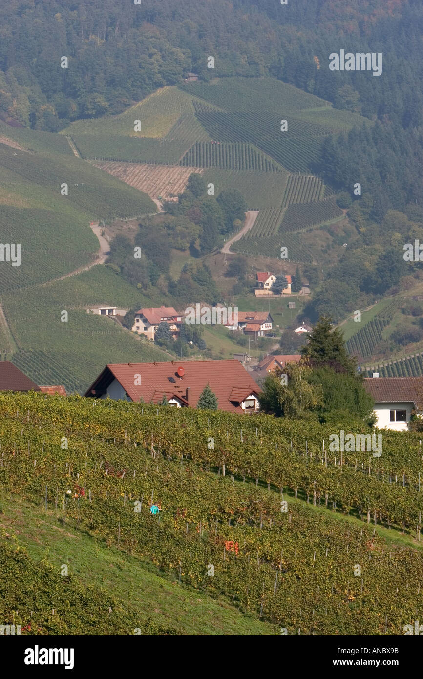 Buehl building hi-res stock photography and images - Alamy