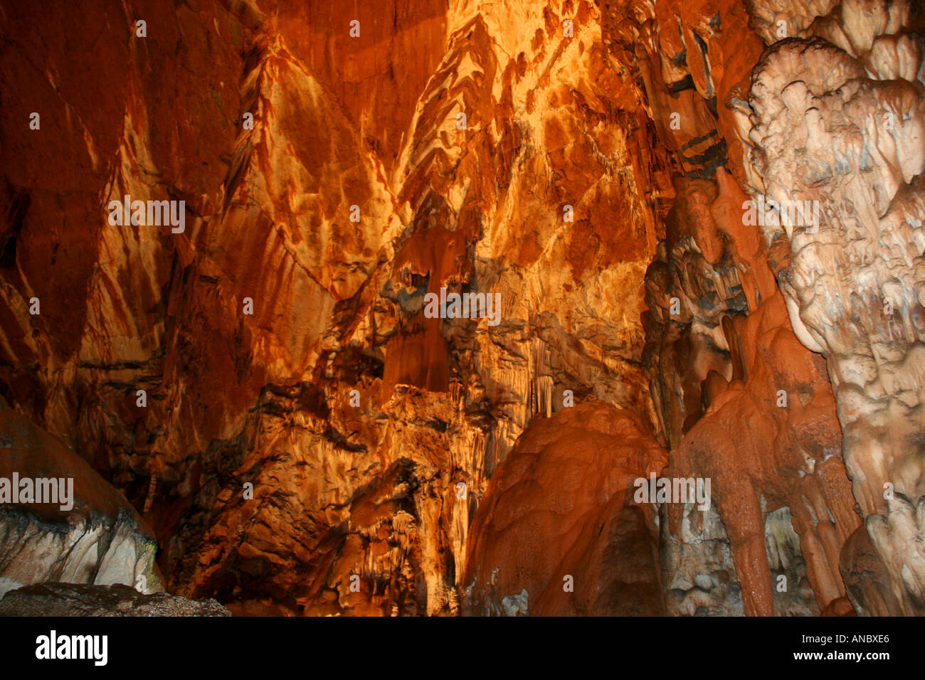 Manita pec hi-res stock photography and images - Alamy