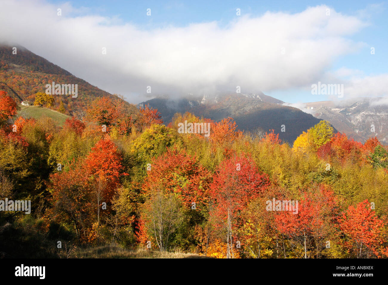 Autumn / Fall foliage colors in the landscape of the Sibillini National ...